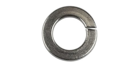 Washer Spring SS316 5mm Brisbane & QLD